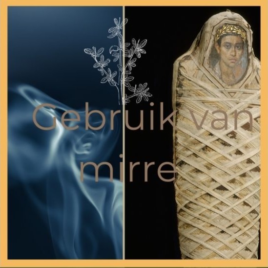 Mirre: Bijbels kruid met rijke geschiedenis